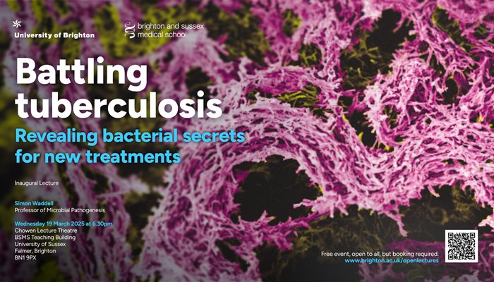 Inaugural lectures - BSMS