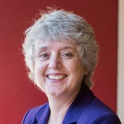 Meet our team - BSMS